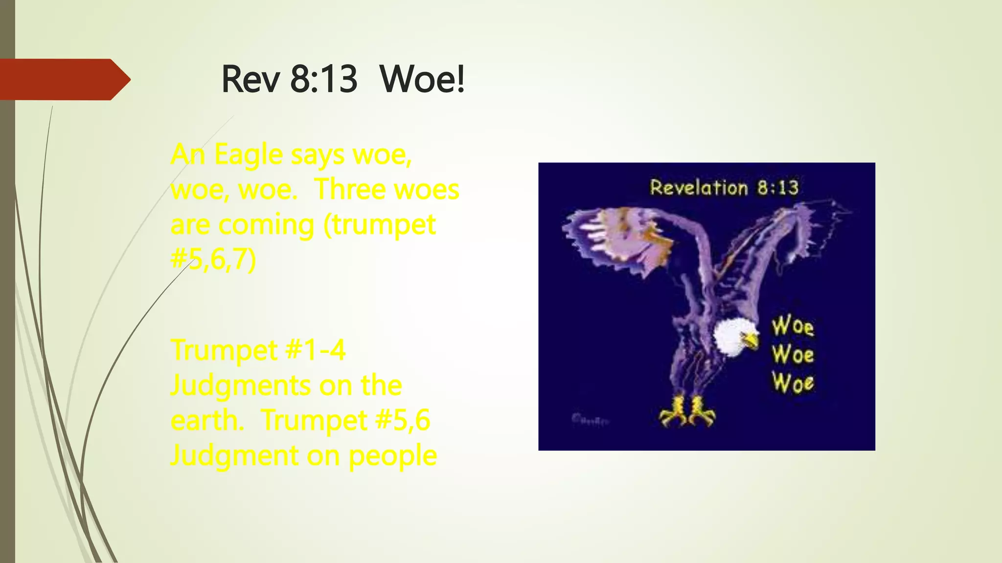 Revchapterbychapter.pptx