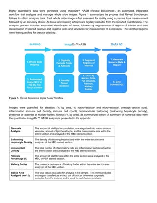 Reveal Biosciences Validation of NASH Mouse Model | PDF