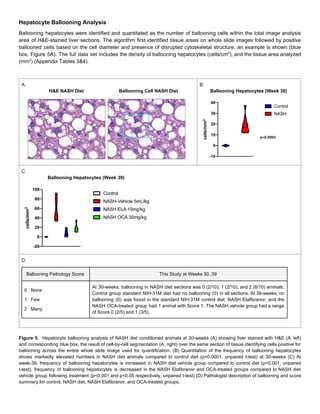 Reveal Biosciences Validation of NASH Mouse Model | PDF