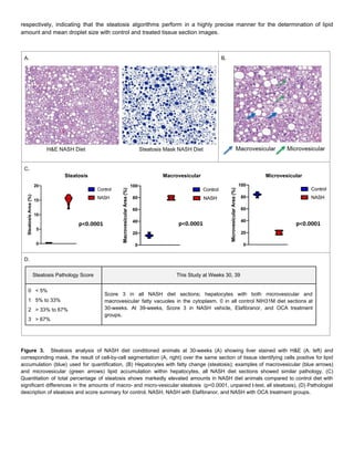 Reveal Biosciences Validation of NASH Mouse Model | PDF
