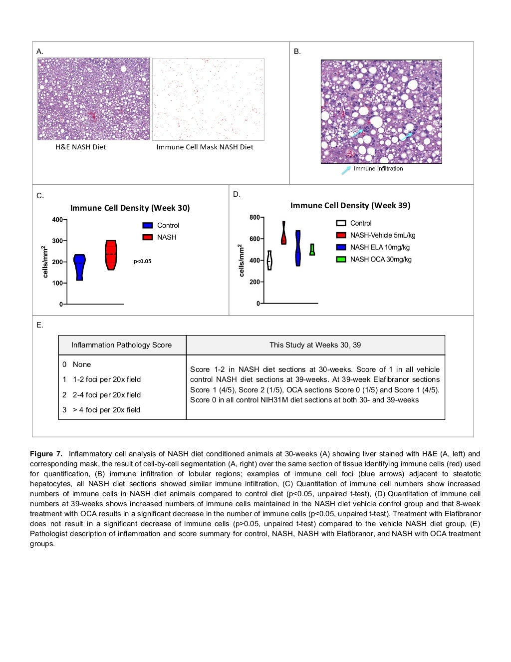 Reveal Biosciences Validation of NASH Mouse Model