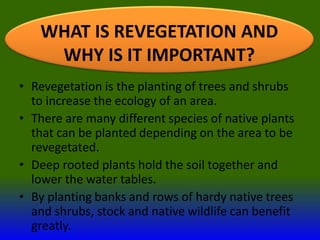 Revegetation - Keeping farmland productive for future generations by ...