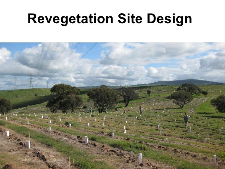 Revegetation Site Design