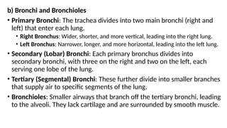 REVEIW OF ANATOMY OF THE RESPIRATORY SYSYTEM.pptx