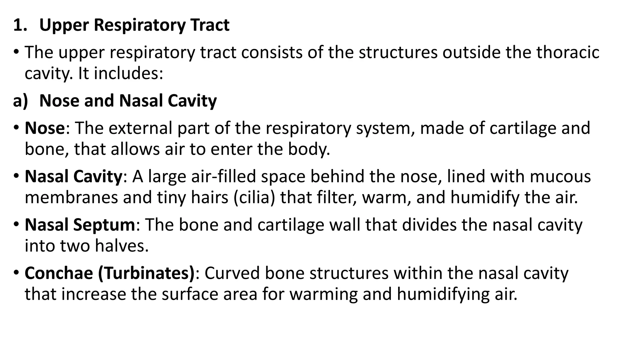 REVEIW OF ANATOMY OF THE RESPIRATORY SYSYTEM.pdf