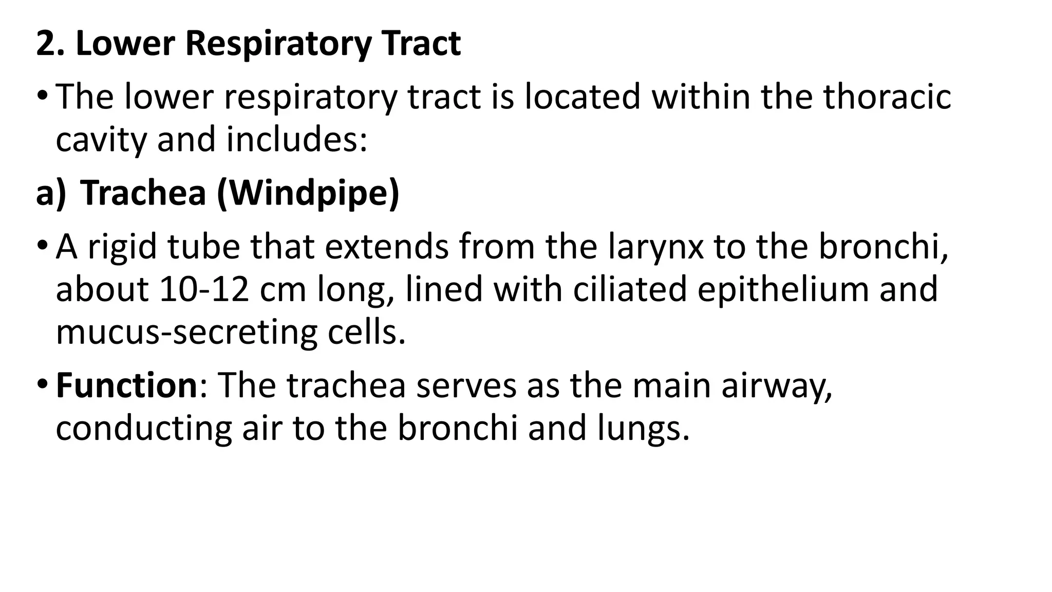 REVEIW OF ANATOMY OF THE RESPIRATORY SYSYTEM.pdf