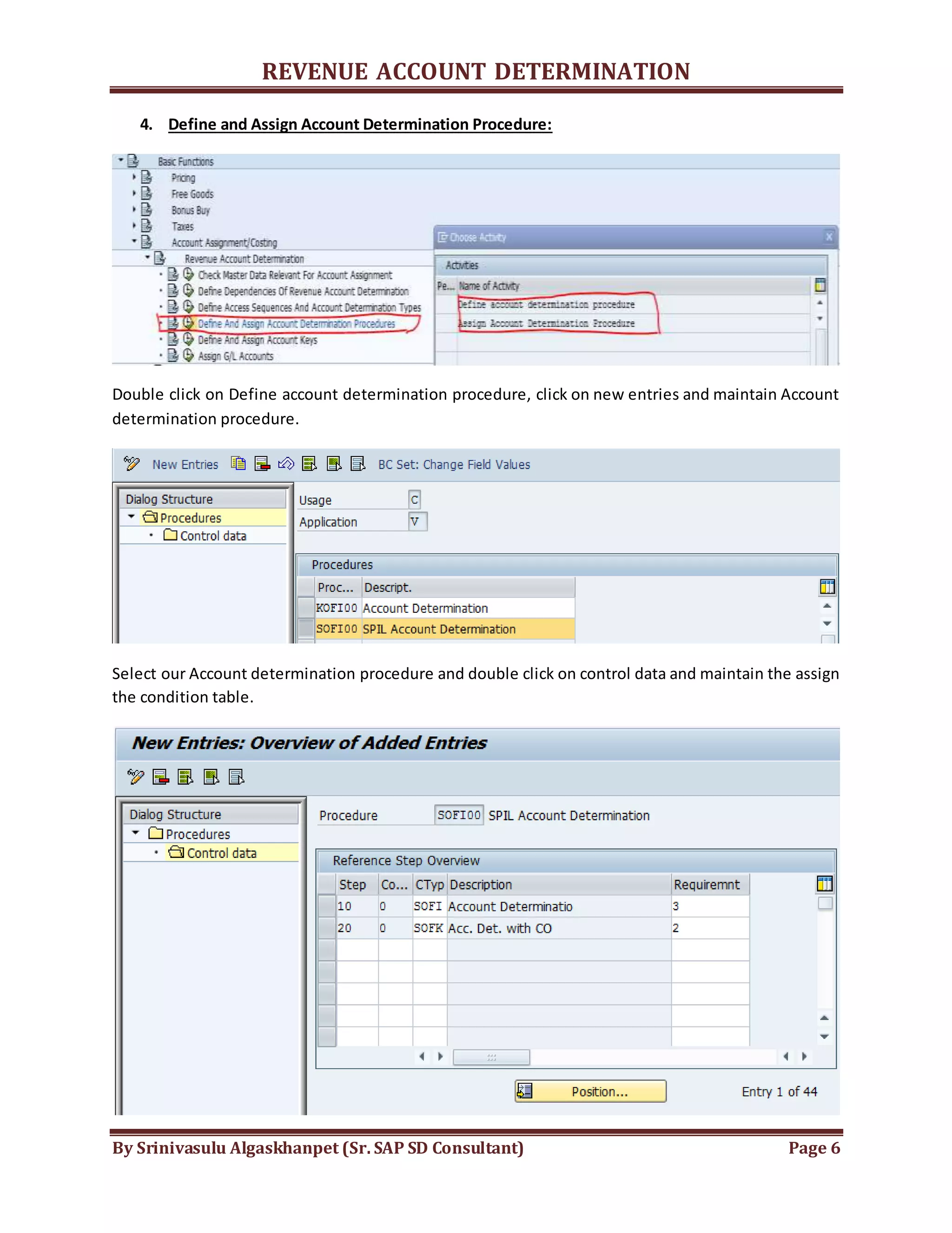 Revenue account determination | DOCX