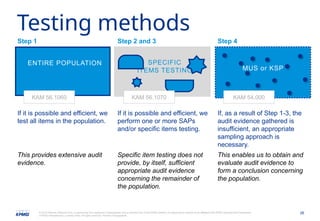 Revenue Audit Basics for an organisational audit | PPTX