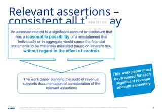 Revenue Audit Basics for an organisational audit | PPTX