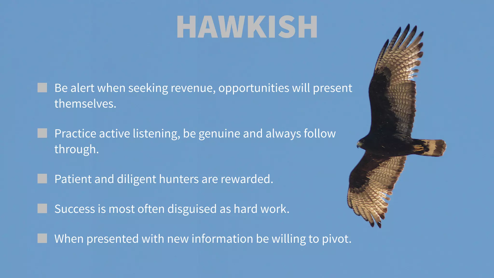 Revenue Hawk | PPT