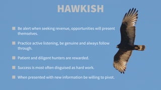 Revenue Hawk | PPT