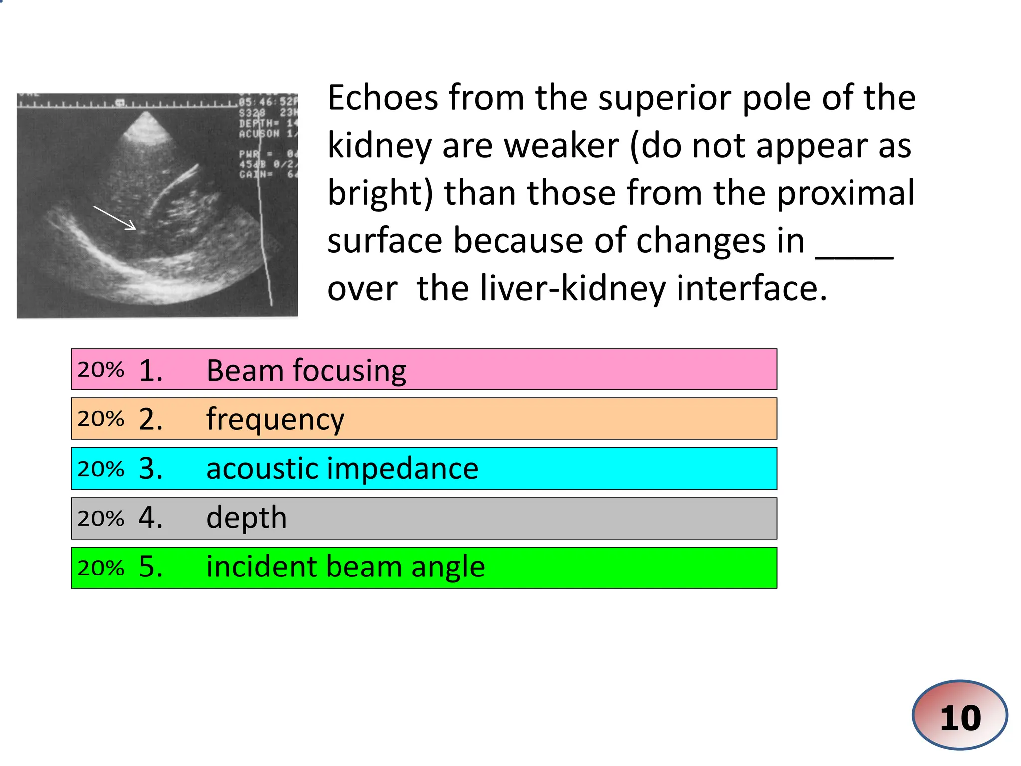 Reverberation Artifacts in ultrasound imaging | PDF