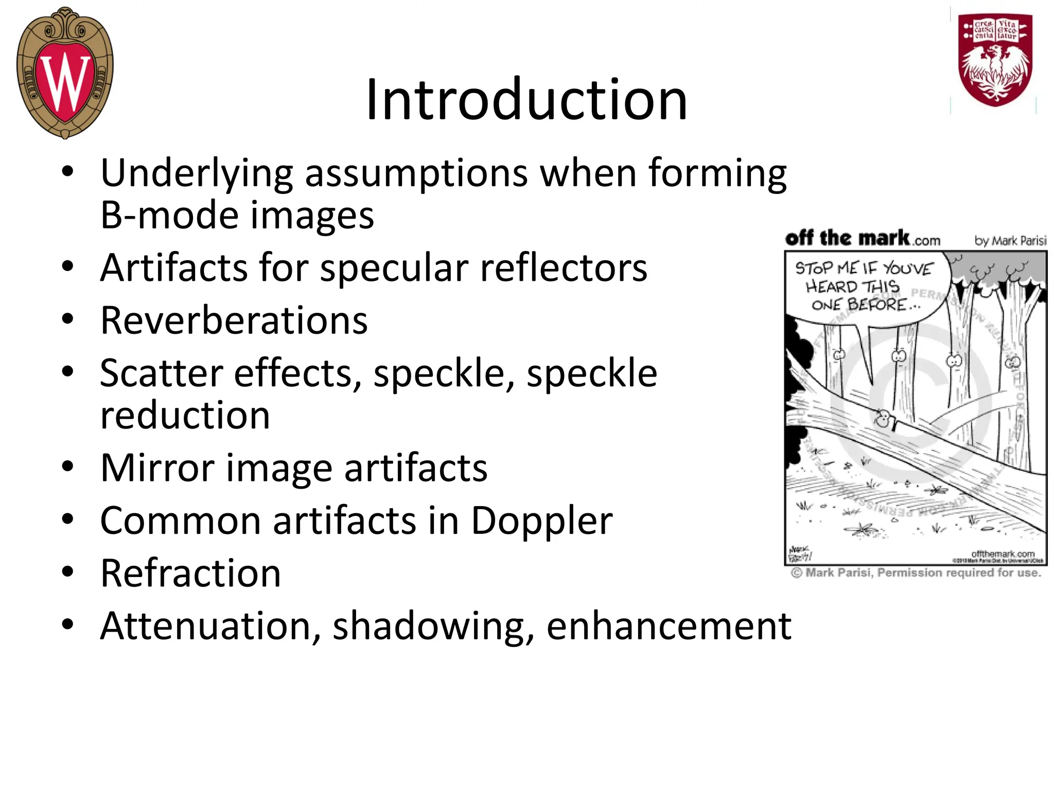 Reverberation Artifacts in ultrasound imaging | PDF