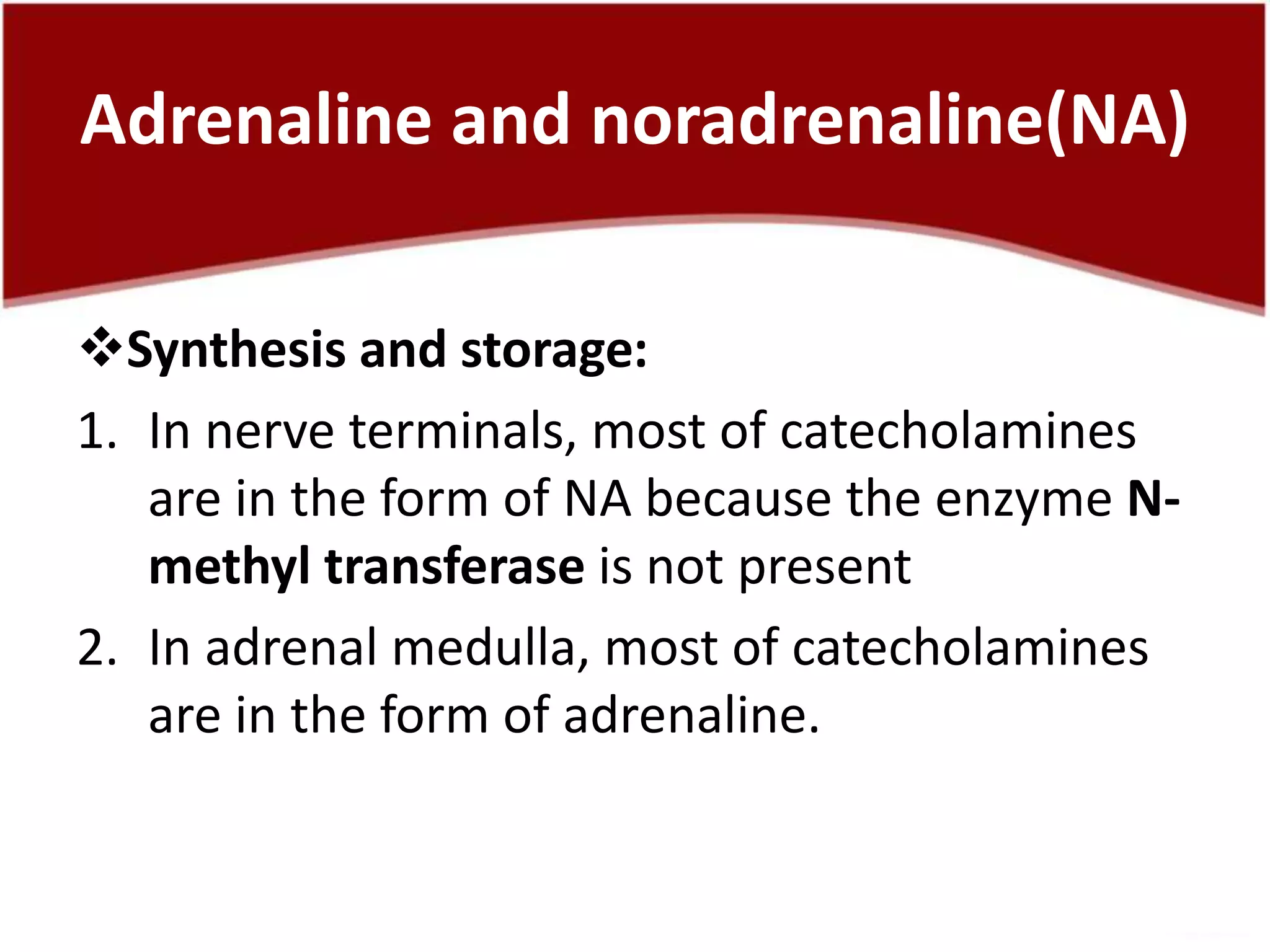 Reversal action of adrenaline on blood pressure in dog | PPTX