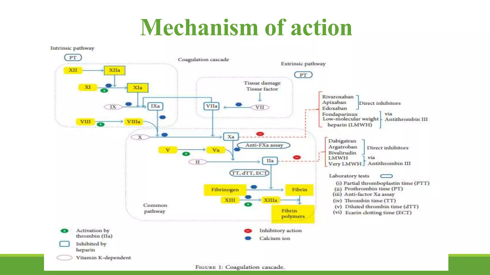 Reversal of anticoagulants with special reference to neurological | PPTX