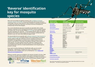 Reverse-identification-key-for-invasive-mosquito-species-July-2022.pptx