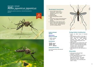 Reverse-identification-key-for-invasive-mosquito-species-July-2022.pptx