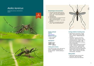 Reverse-identification-key-for-invasive-mosquito-species-July-2022.pptx