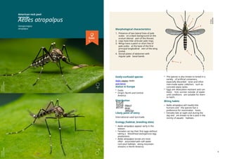 Reverse-identification-key-for-invasive-mosquito-species-July-2022.pptx