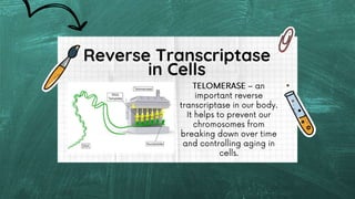 reverse-transcriptase ADVANCES IN BIOLOGICAL SCIENCE.pptx