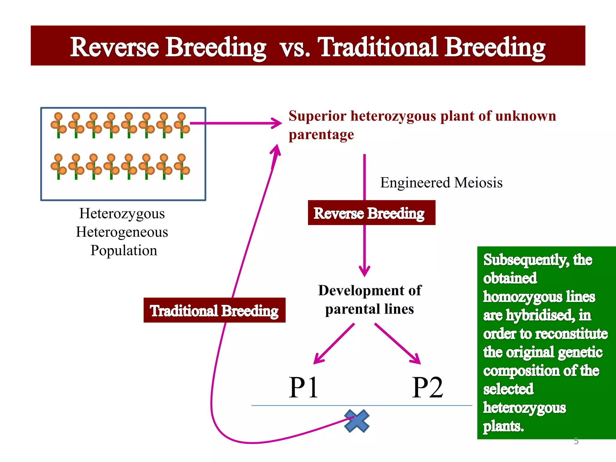 Reverse Breeding | PPTX