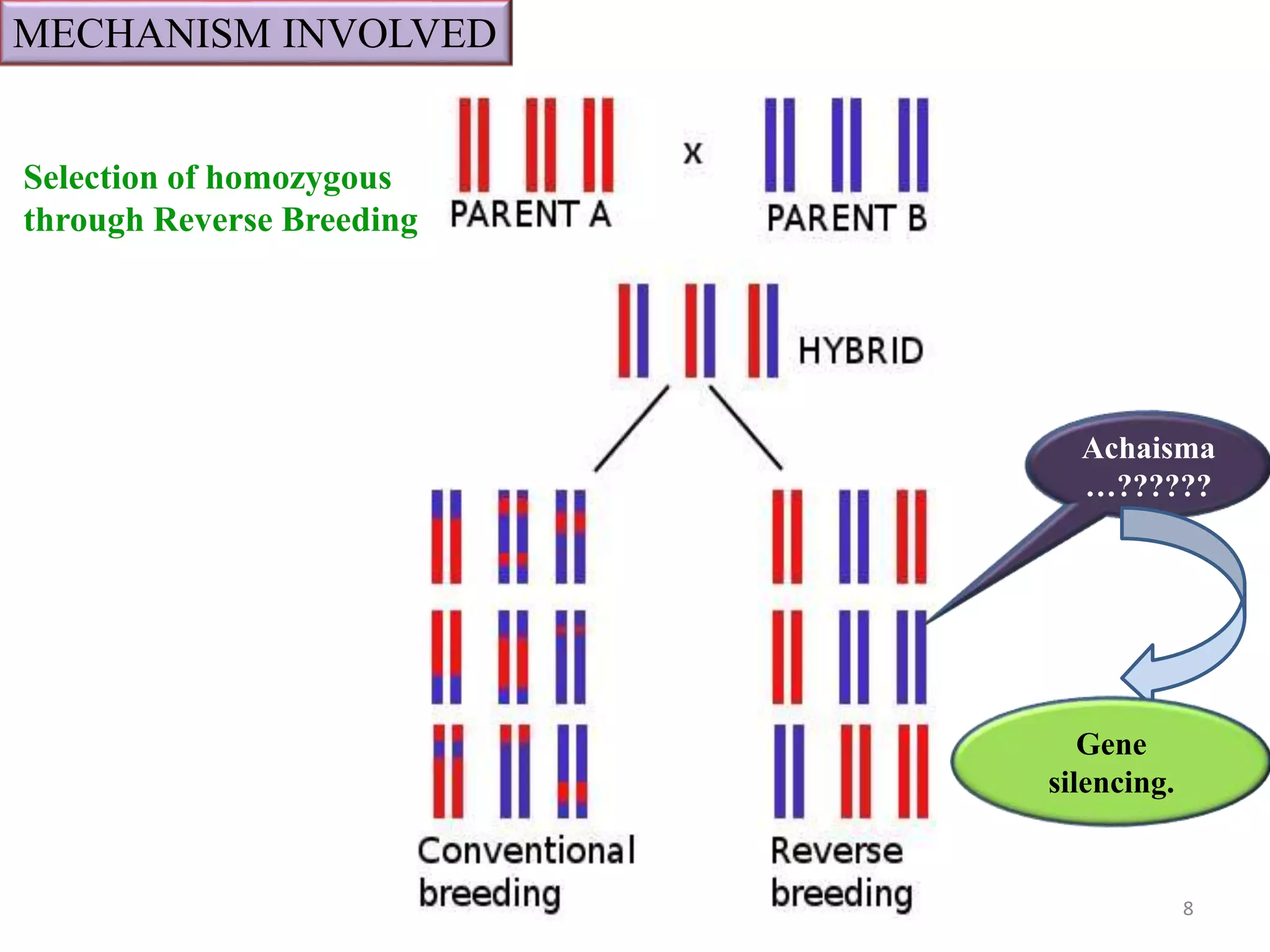 Reverse Breeding | PPTX