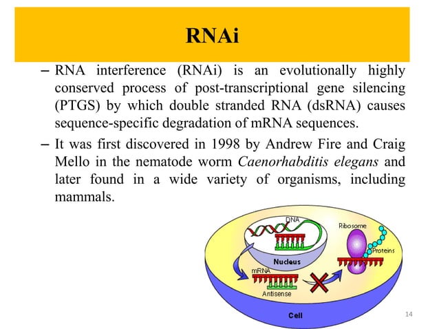 Reverse Breeding | PPTX