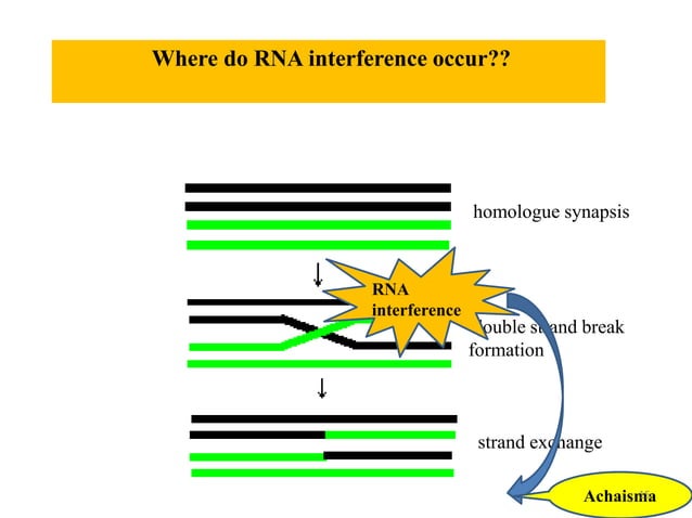 Reverse Breeding | PPTX