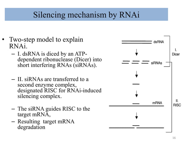 Reverse Breeding | PPTX