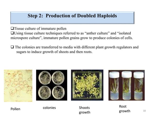 Reverse Breeding | PPTX
