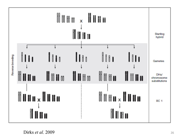 Reverse Breeding | PPTX