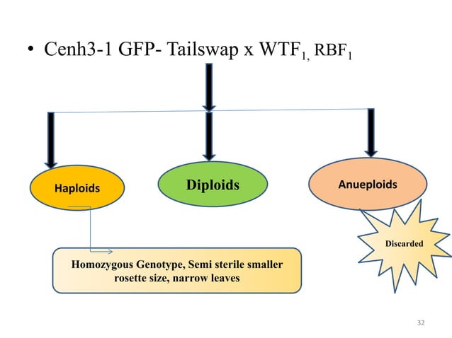Reverse Breeding | PPTX