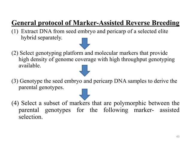 Reverse Breeding | PPTX