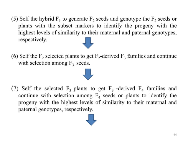 Reverse Breeding | PPTX