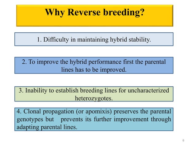 Reverse Breeding | PPTX
