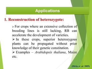 Reverse Breeding: a tool to create homozygous plants from the ...