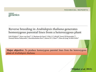 Reverse Breeding: a tool to create homozygous plants from the ...