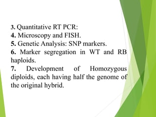 Reverse Breeding: a tool to create homozygous plants from the ...