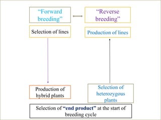 Reverse Breeding: a tool to create homozygous plants from the ...
