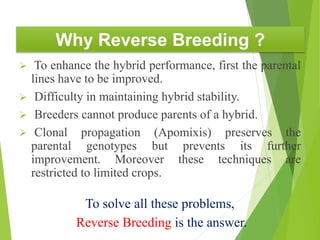 Reverse Breeding: a tool to create homozygous plants from the ...