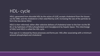 Reverse cholesterol metabolism | PPTX