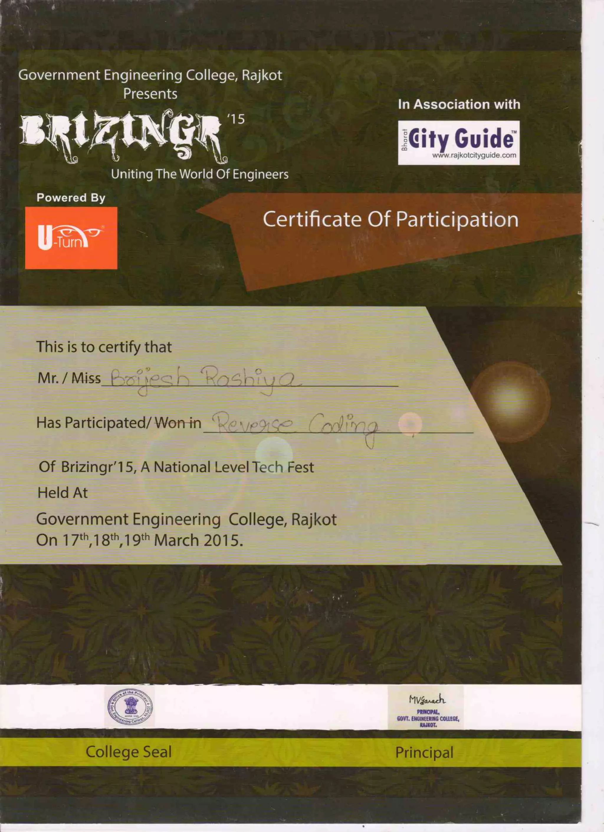 Reverse Coding (Brizingr) | PDF