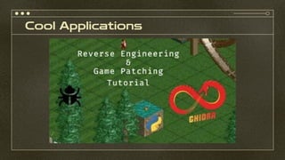Reverse Engineering 101 | PDF | Programming Languages | Computing