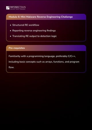 Reverse Engineering Mini Bootcamp.pdf