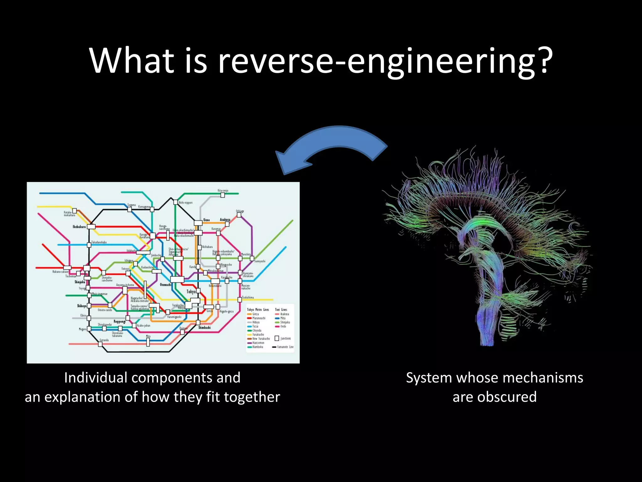 Reverse Engineering The Brain, Online | PDF