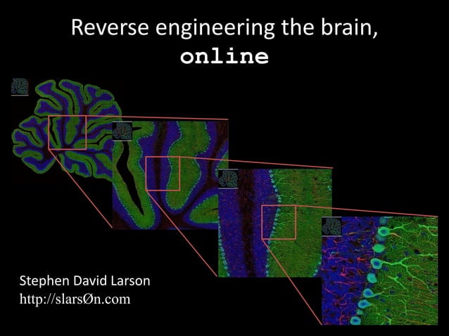 Reverse Engineering The Brain, Online | PPT