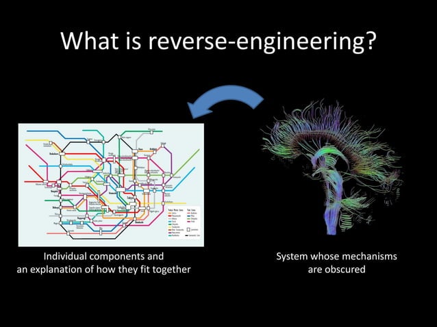 Reverse Engineering The Brain, Online | PPT