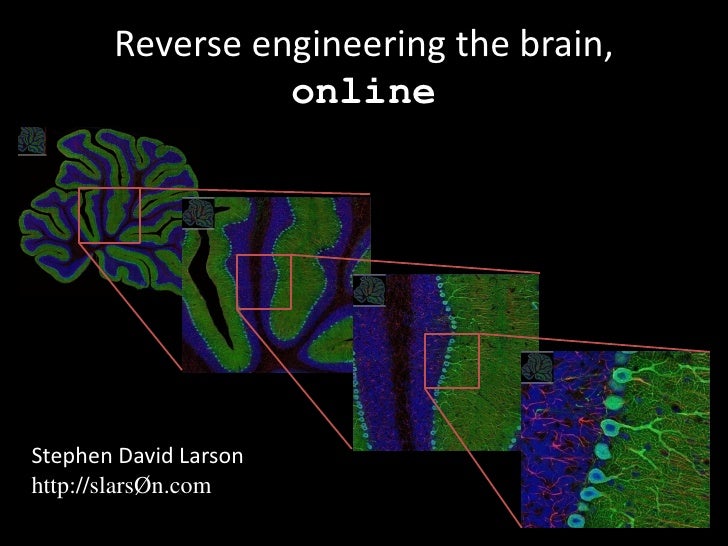 What Is Reverse Engineering The Brain - Design Talk