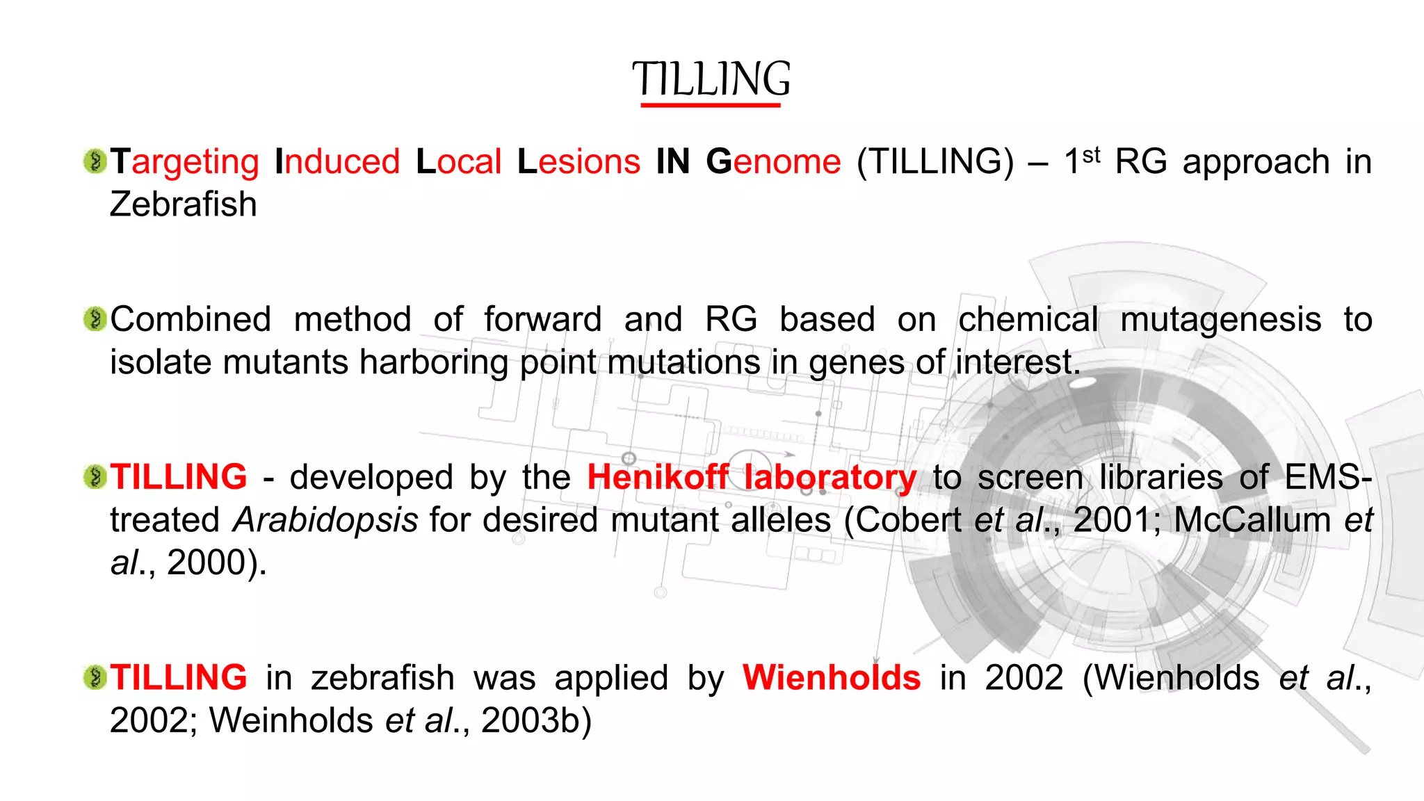 Reverse genetics | PPTX