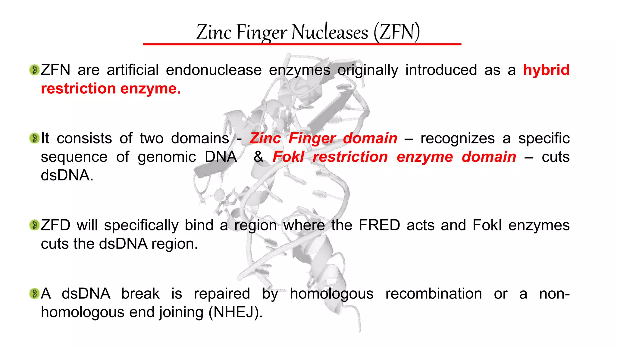 Reverse genetics | PPTX